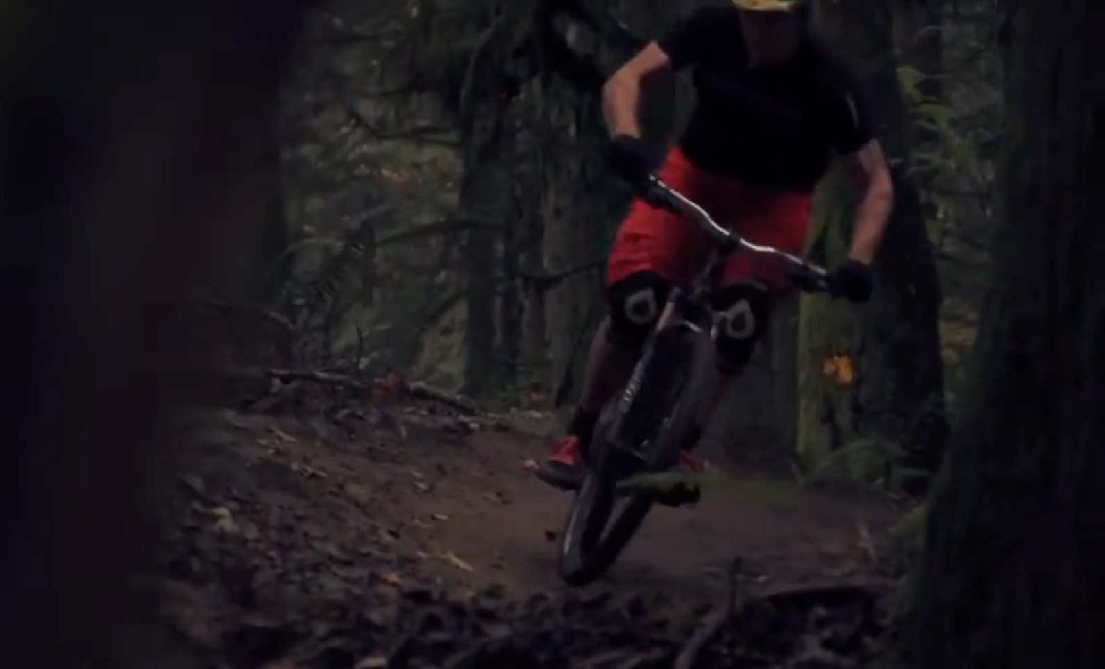 Duthie Hill Park with Simon Lawton