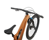 Release 4C | Diamondback